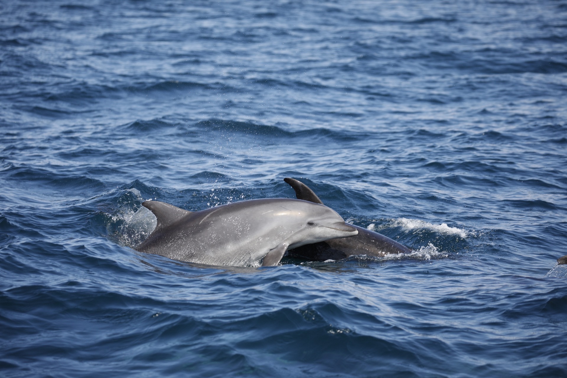 October 1st, 2019 – Newport Coastal Adventure