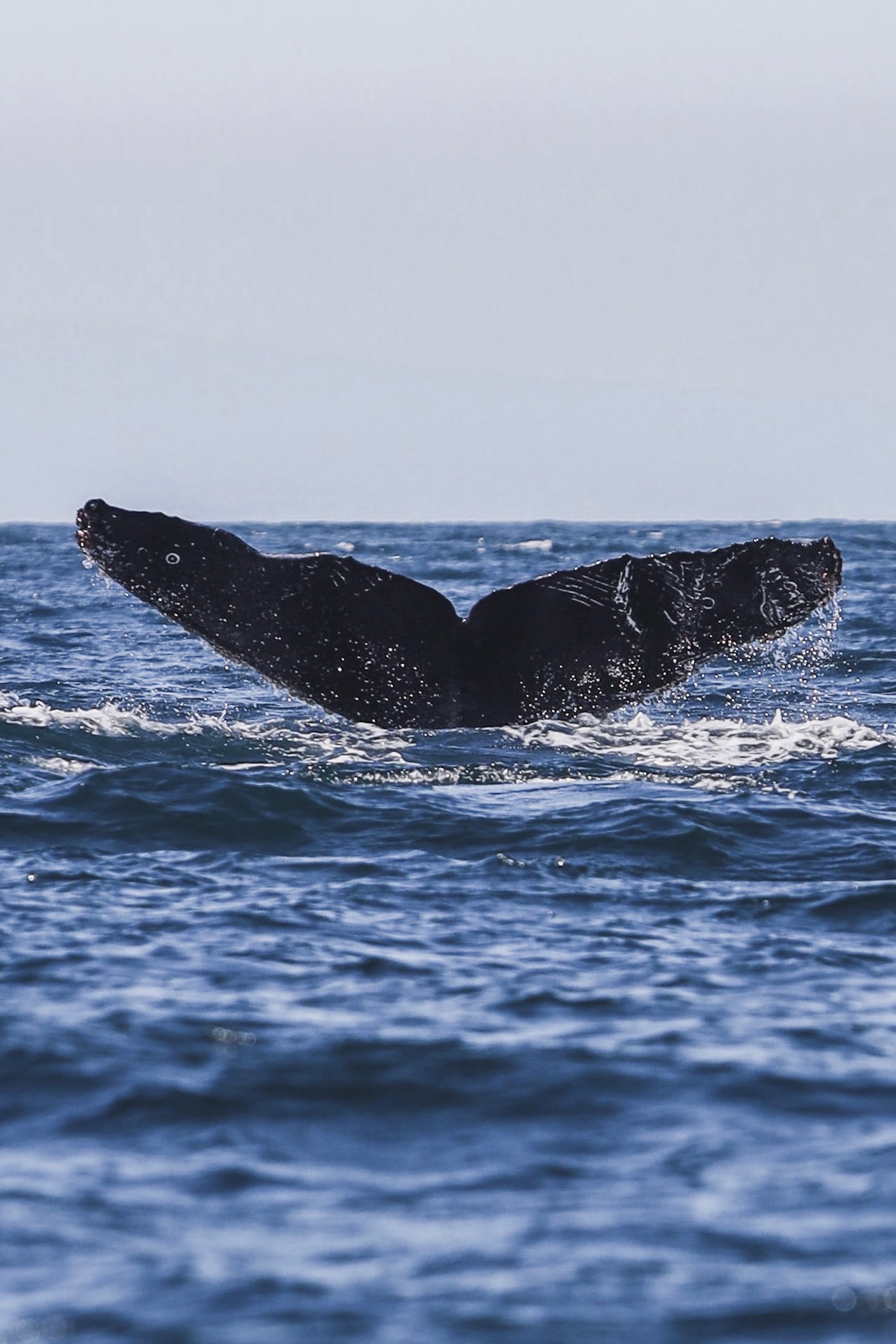 October 7th, 2019 – Newport Coastal Adventure
