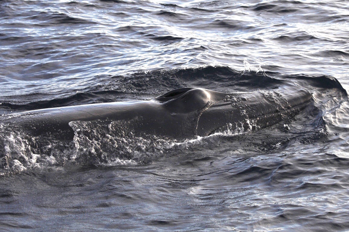 November 26th, 2019 – Newport Coastal Adventure